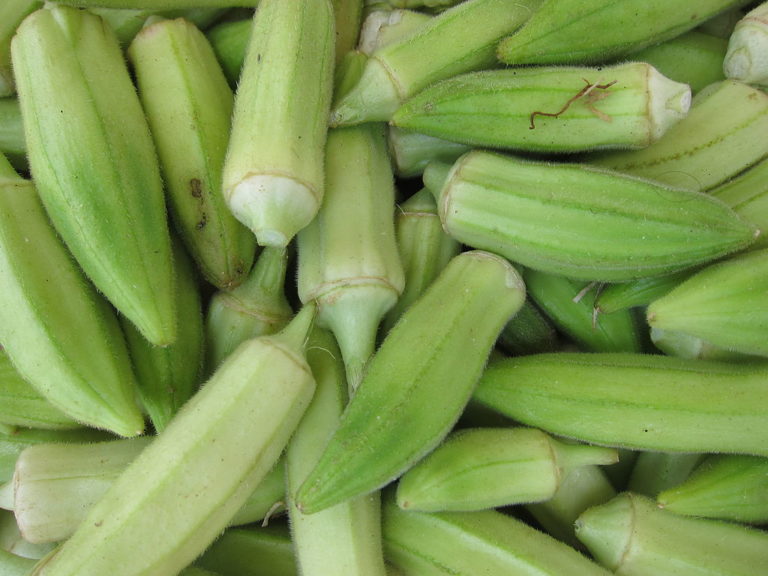 Top 5 Jamaican VegetablesYour Jamaican Tour Guide – Private Jamaican ...